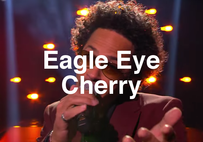 Eagle-Eye Cherry | Tunes + Guitar Lessons - Spy Tunes