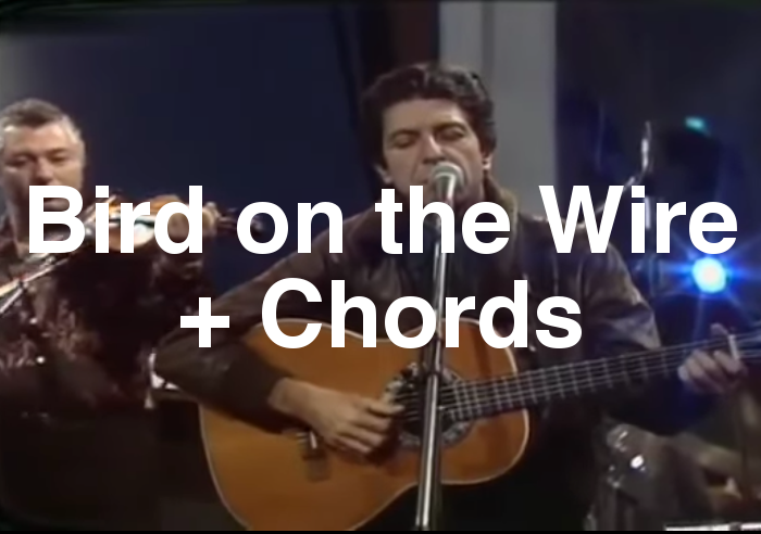 Bird on the Wire Chords | Leonard Cohen Guitar Lesson - Spy Tunes